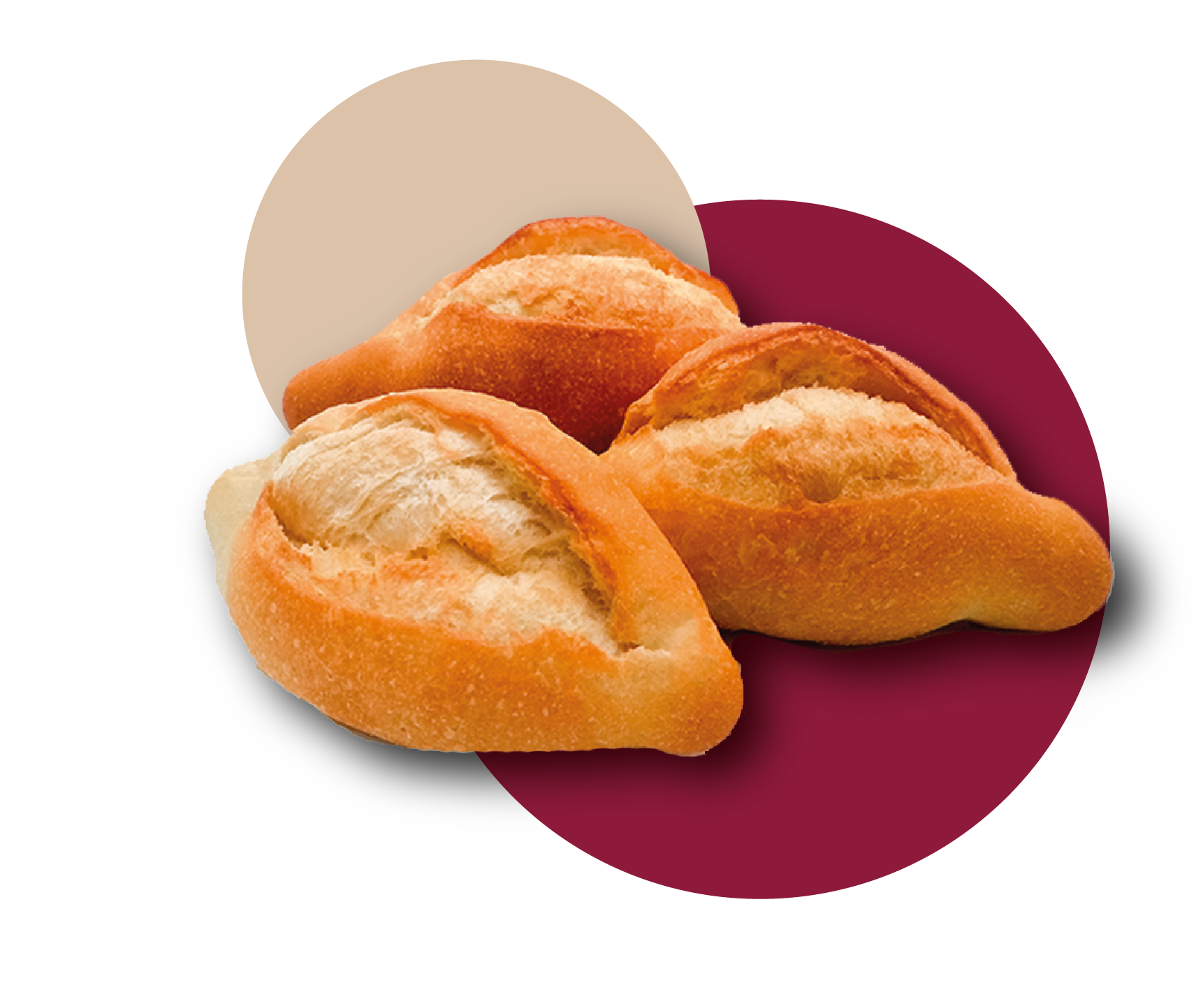 Recetas Tradicionales – Bolillo – Harinera